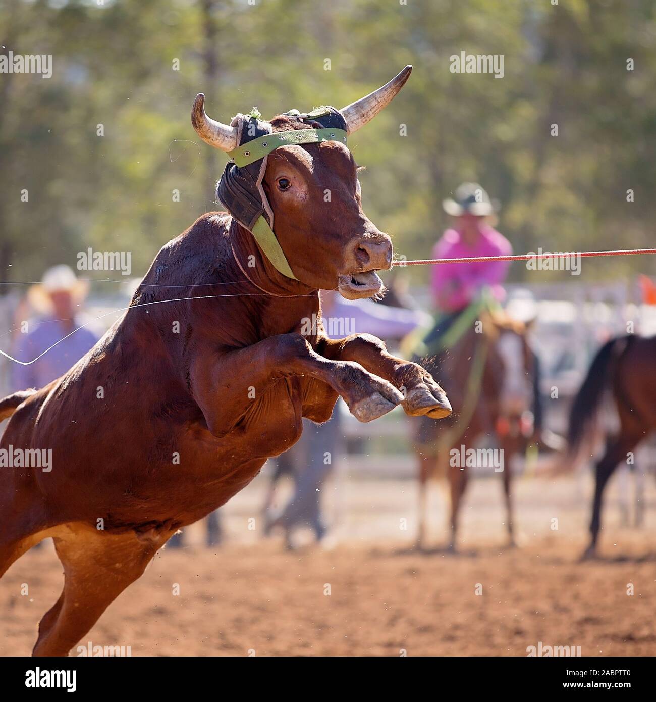 Dusty angry face hi-res stock photography and images - Alamy