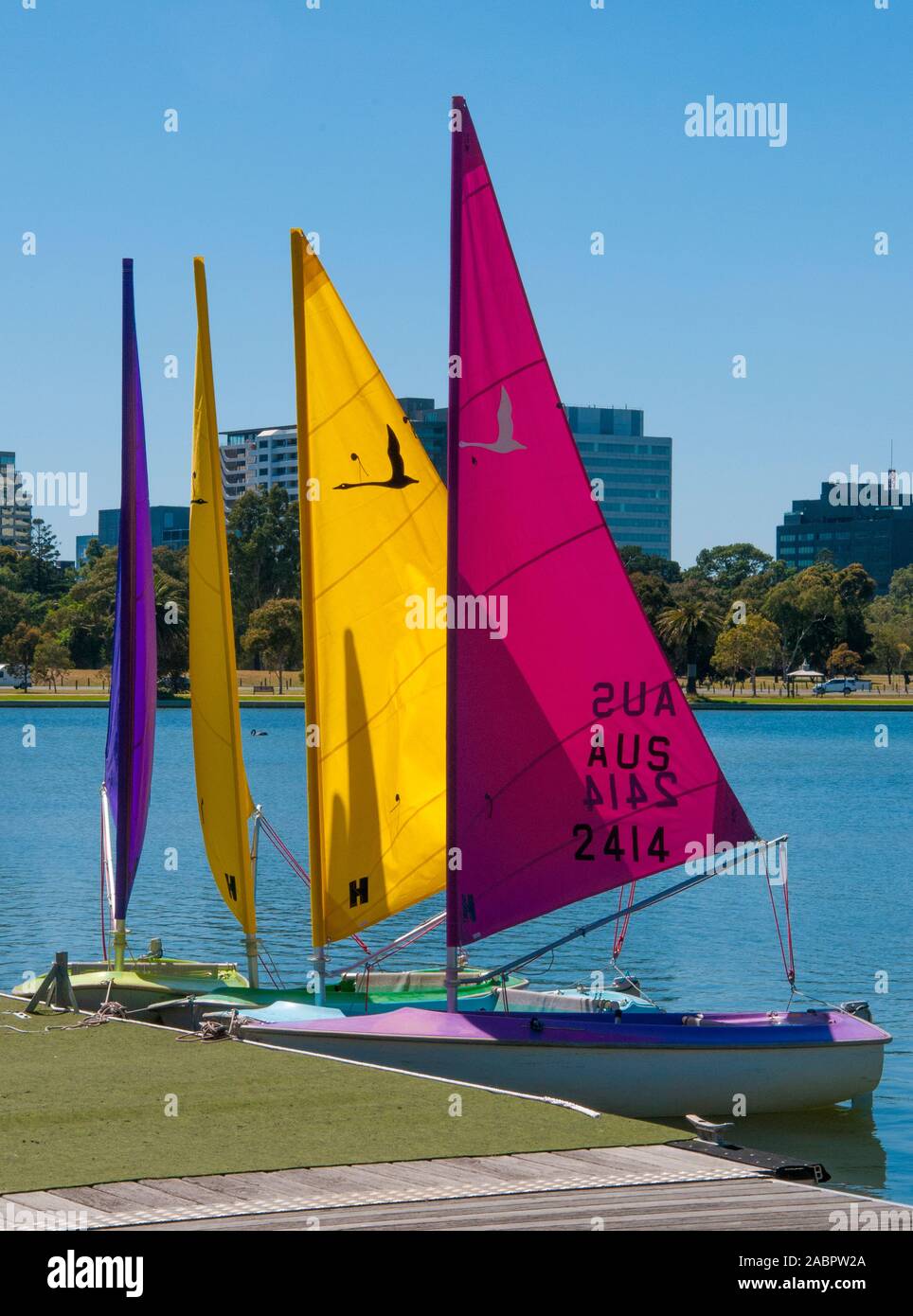 Hansa sailing dinghies on Albert Park Lake, Melbourne, Australia Stock ...