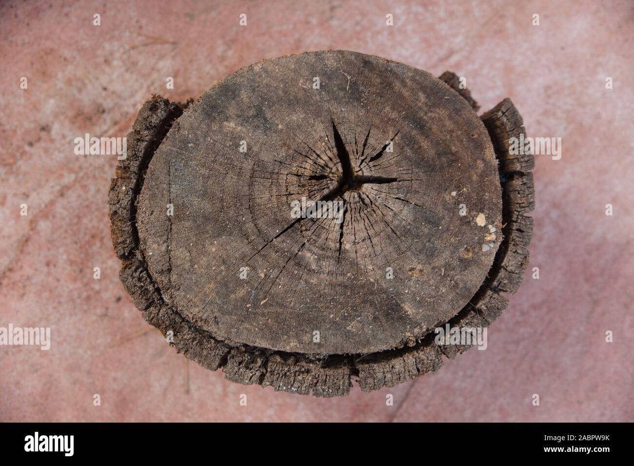 Sawed old wooden log. Wooden saw cuts with annual rings Stock Photo - Alamy