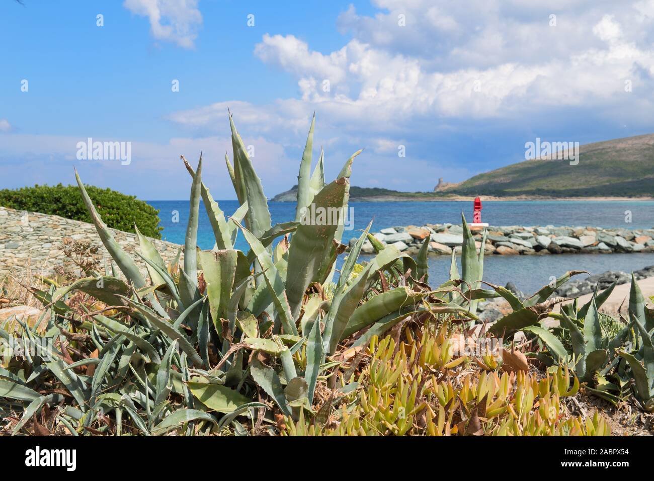 Genoese towers in corsica hi-res stock photography and images - Alamy