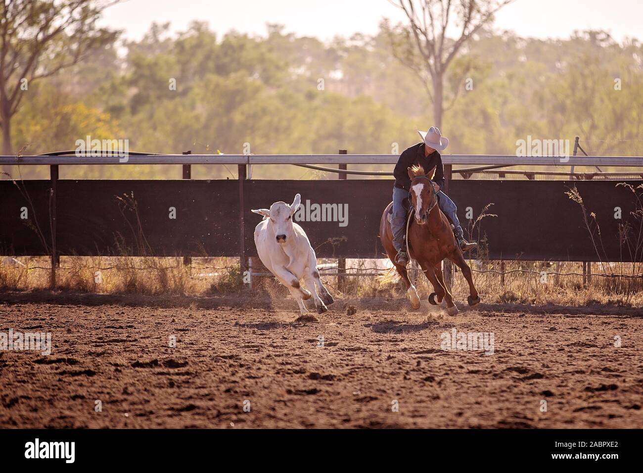 Australian ranch and horse hi-res stock photography and images - Alamy