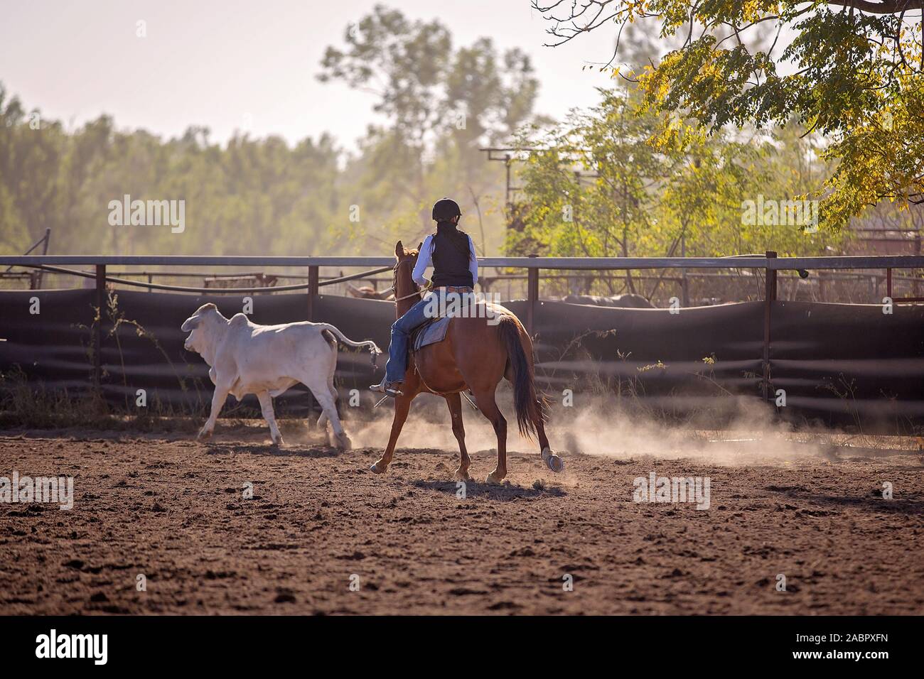 Australian cowgirl hi-res stock photography and images - Alamy