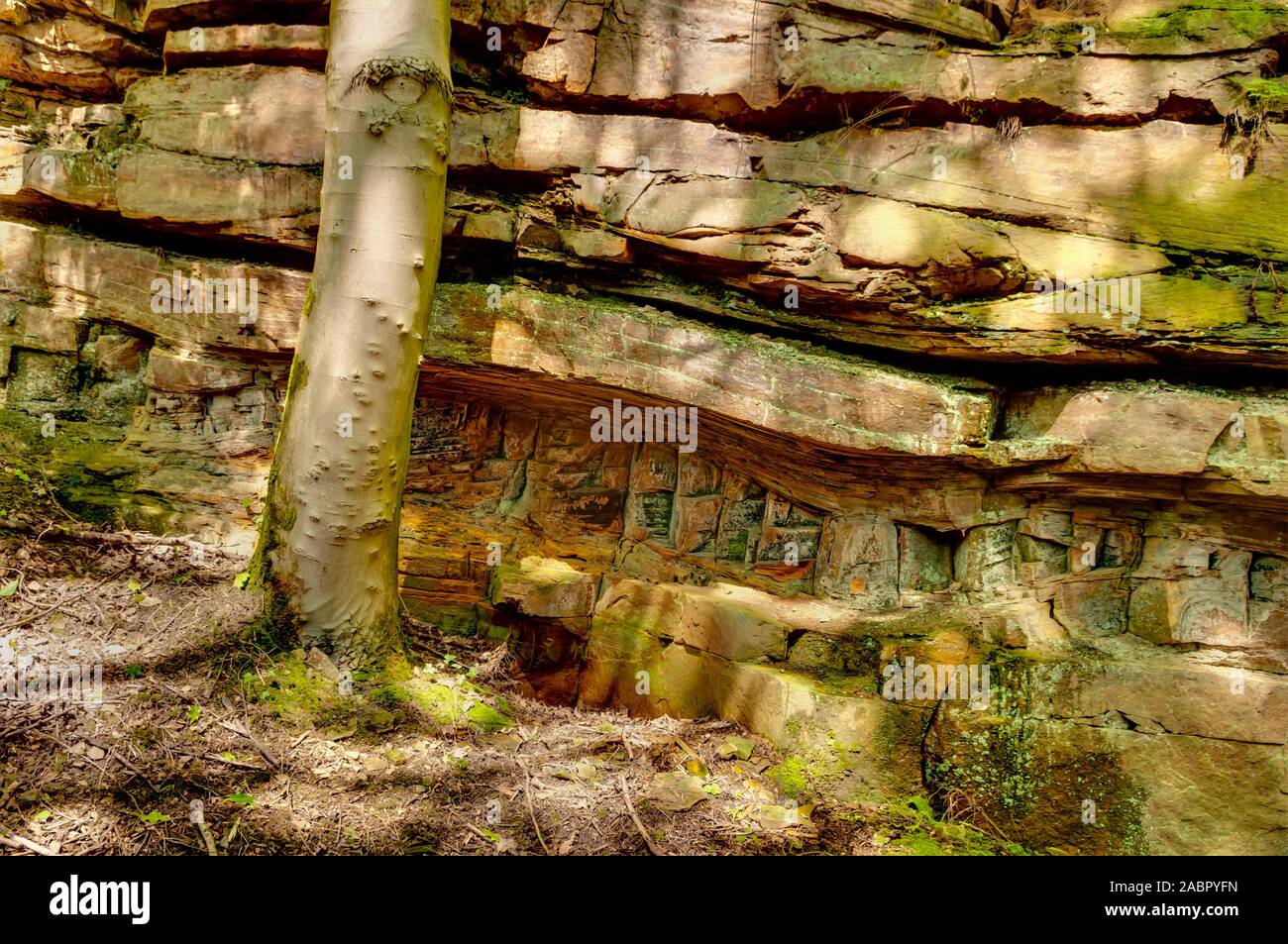 Old Sandstone Quarry near Limb Valley near Sheffield showing multiple ...