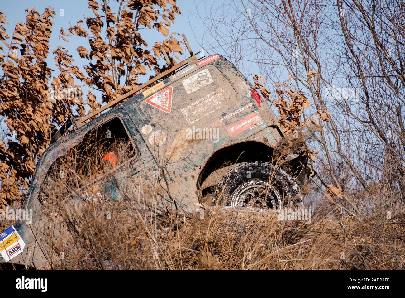 Jeep Suzuki Jimny overcomes obstacles in the forest Stock Photo - Alamy