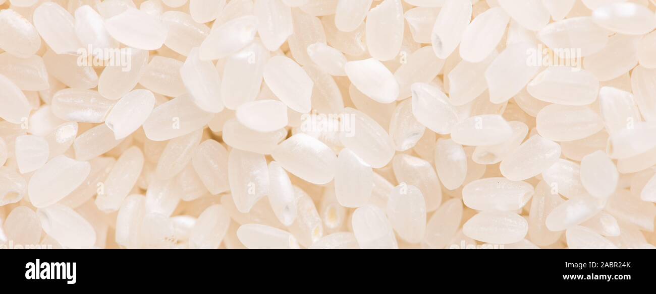 Raw white polished milled edible rice crop on white background in brown ...