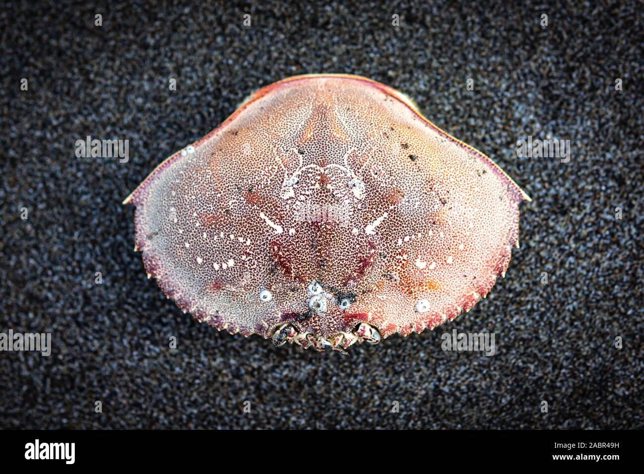 Oregon coast waves hi-res stock photography and images - Alamy