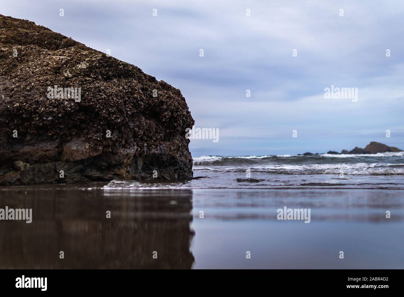 Oregon coast beautiful beach sand hi-res stock photography and images ...