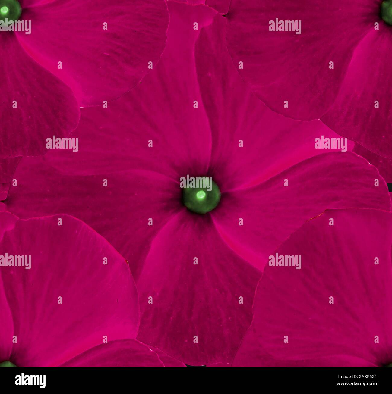 Periwinkle blue color hi-res stock photography and images - Alamy