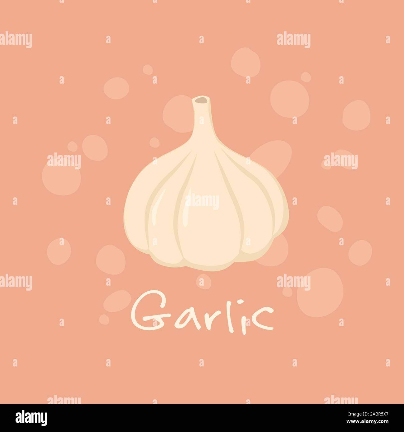 Garlic Vegetable vector Stock Vector Image & Art - Alamy