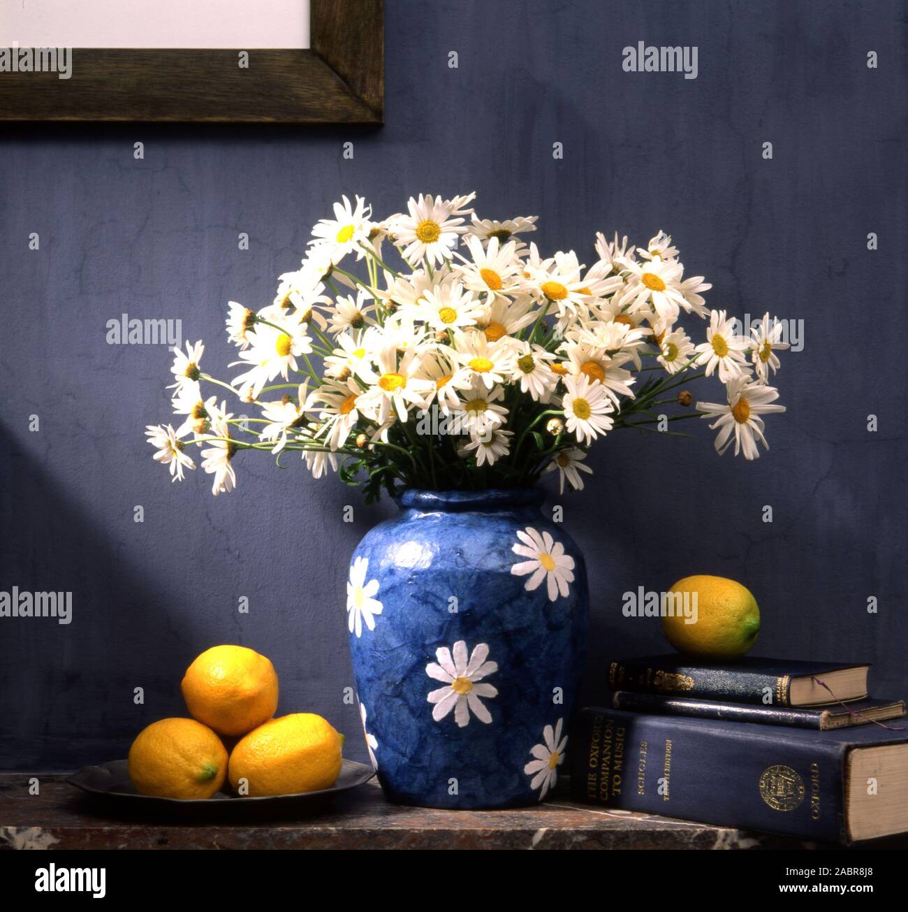 Books with white walls hi-res stock photography and images - Alamy