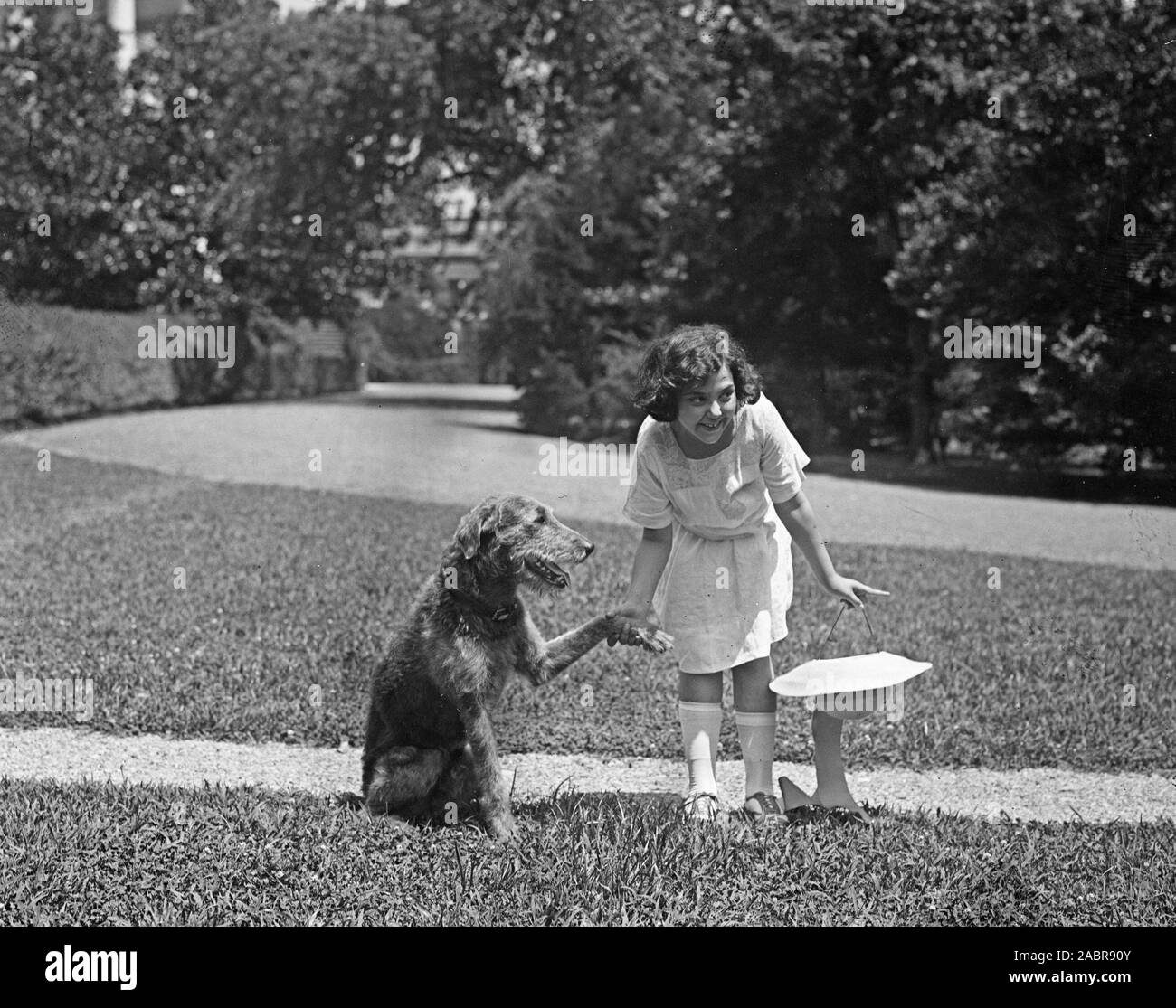 Harding's dog Laddie Boy at the White House, Washington, D.C Stock ...