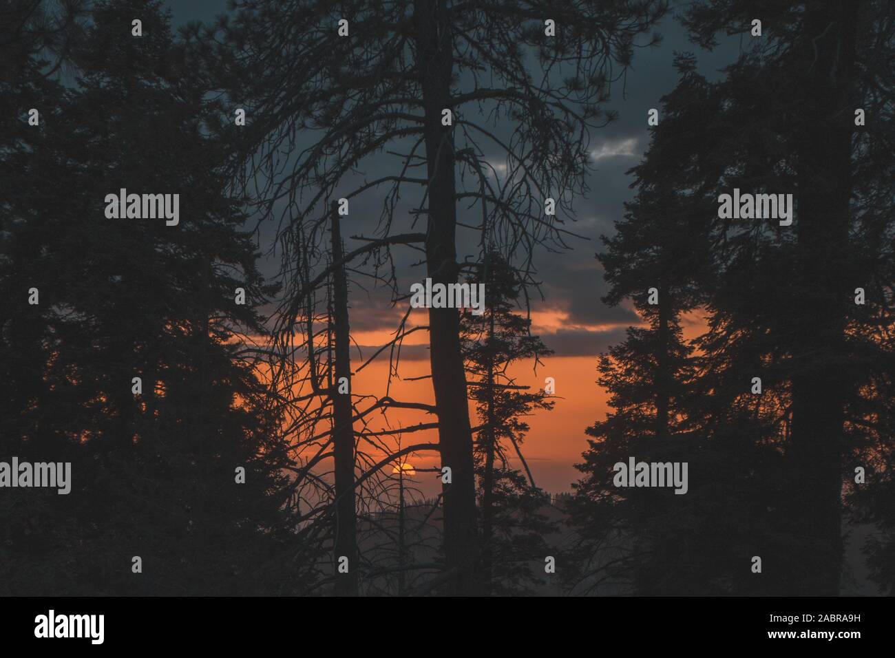Fabulous sunset hi-res stock photography and images - Alamy