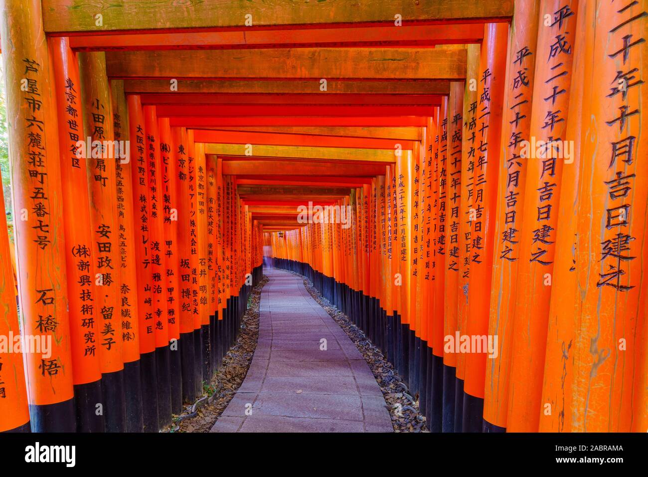 Wooden Gates High Resolution Stock Photography and Images - Alamy
