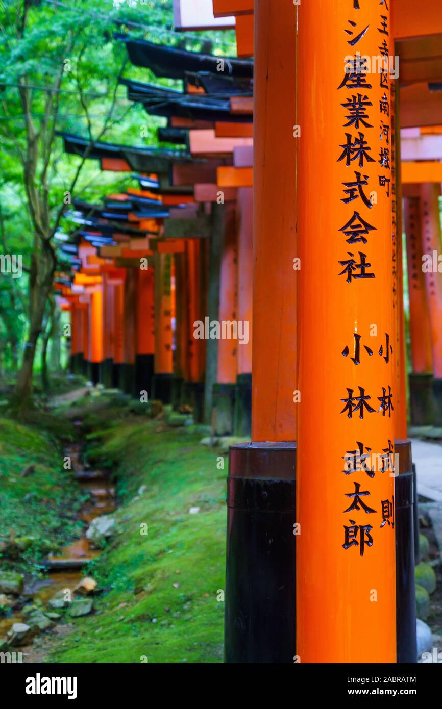 Kyoto, Japan - October 10, 2019: View of a path of Torii gates, in the ...