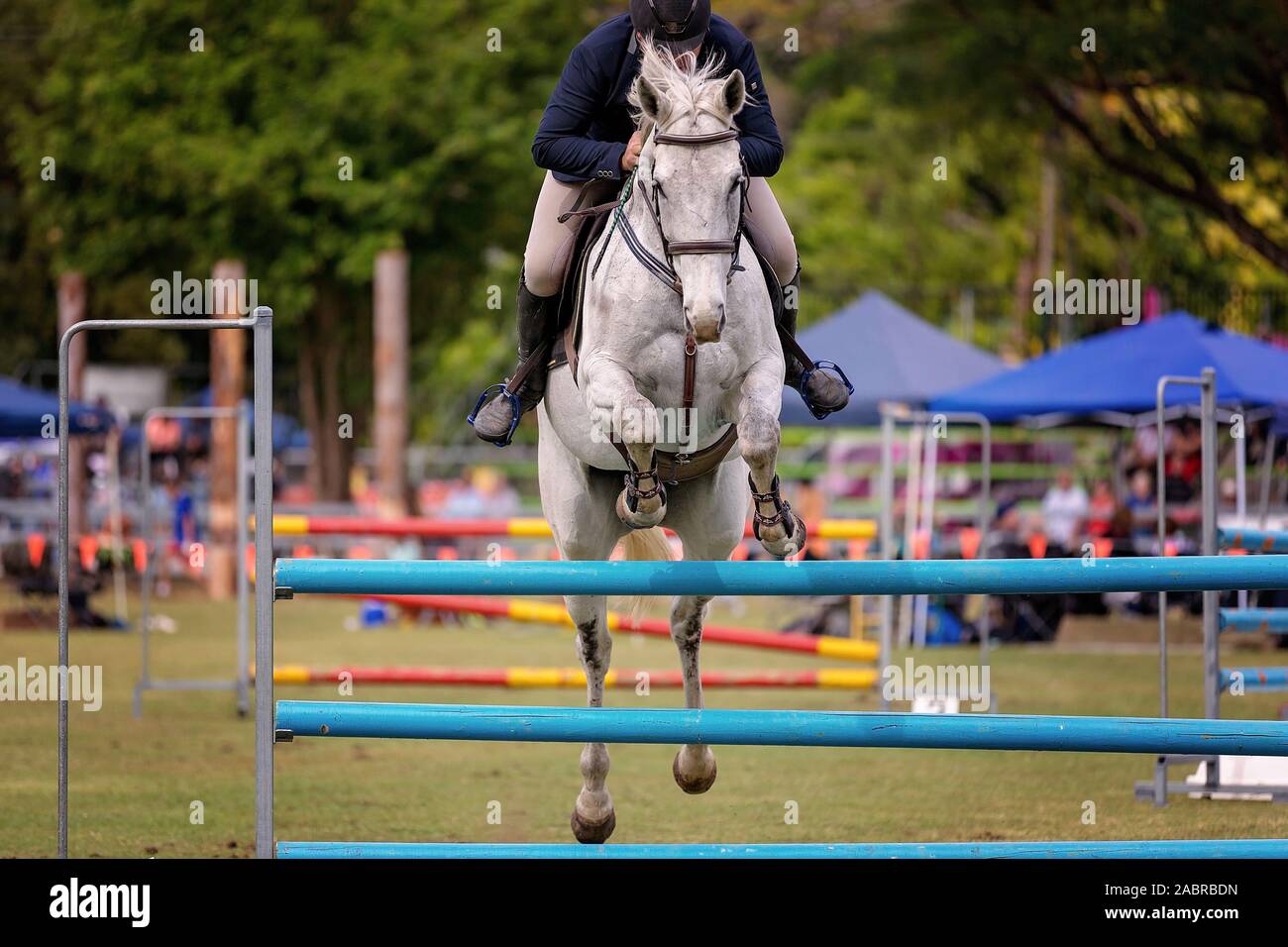 Horse and rider competing in show jumping in the ring at a country show ...