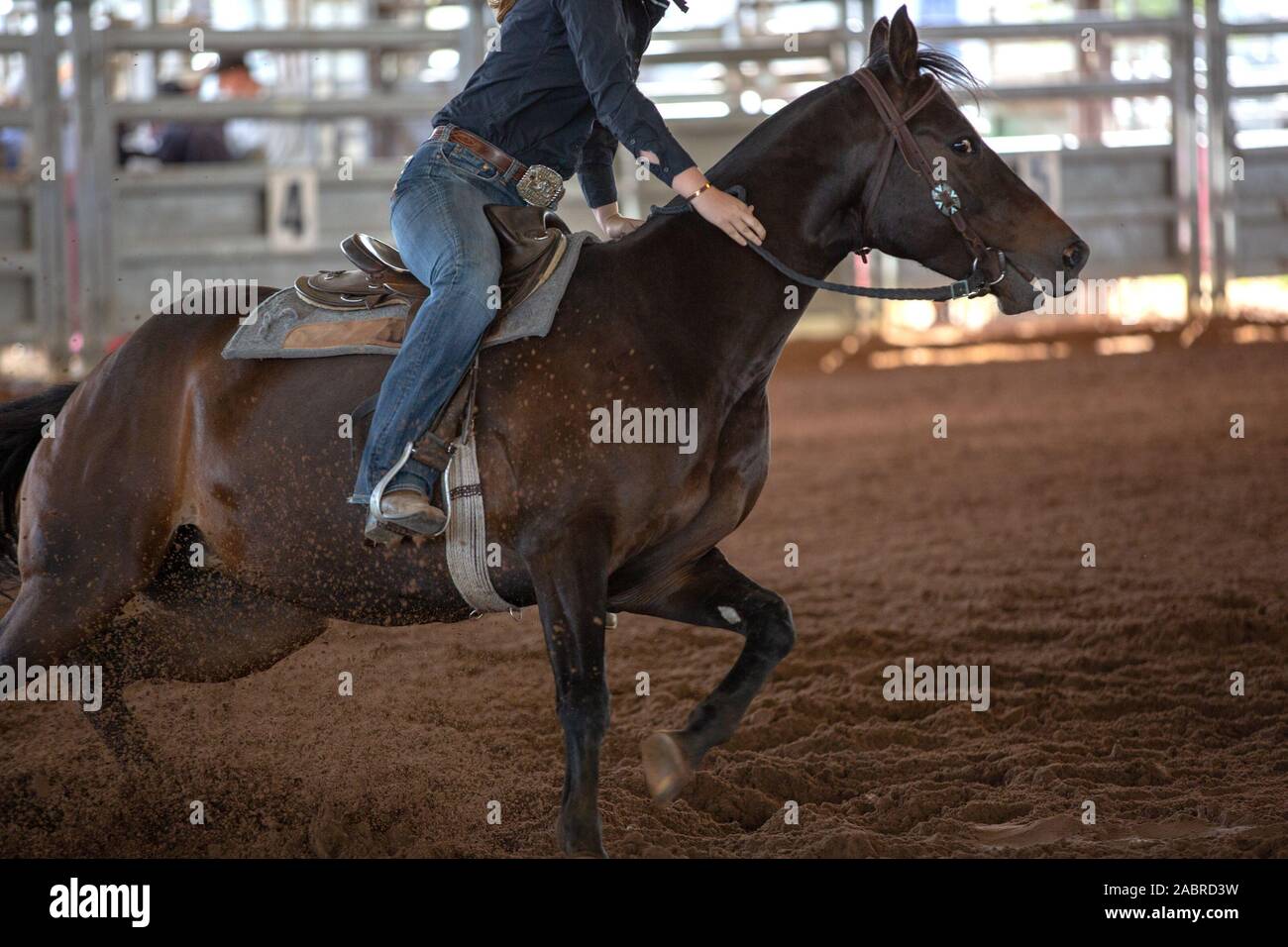Close up of horse and rider barrel racing at a country rodeo in ...