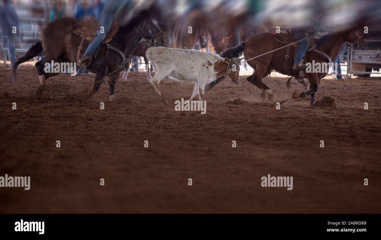 Professional rodeo riders hi-res stock photography and images - Alamy