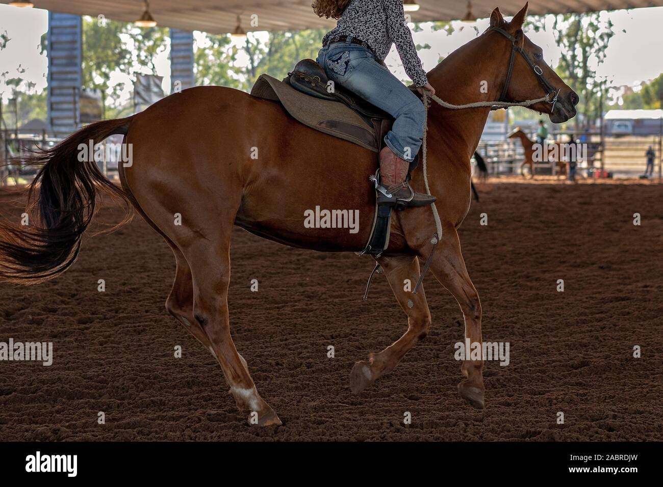 Cowgirl barrel racer hi-res stock photography and images - Alamy