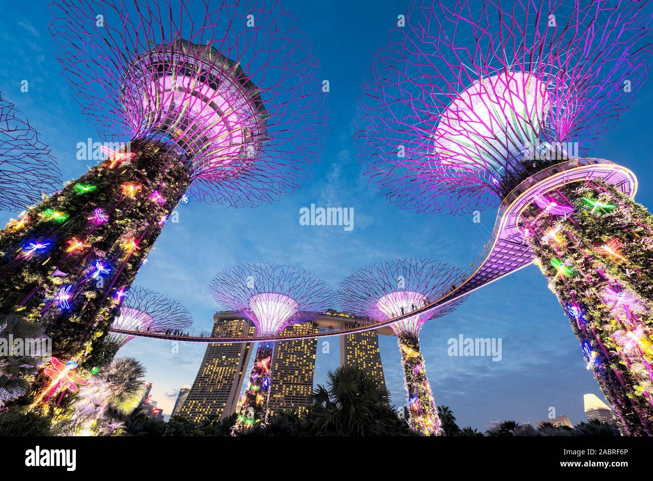 Super tree with lighting with Marina Bay Sand as a background Stock ...