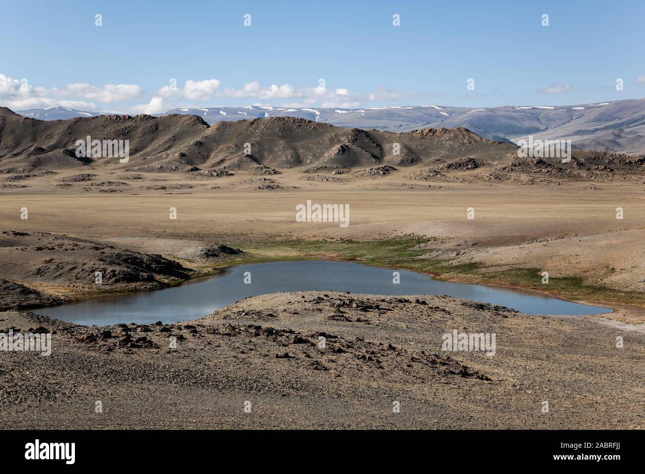 The landscape of the mongolian steppe Stock Photo - Alamy