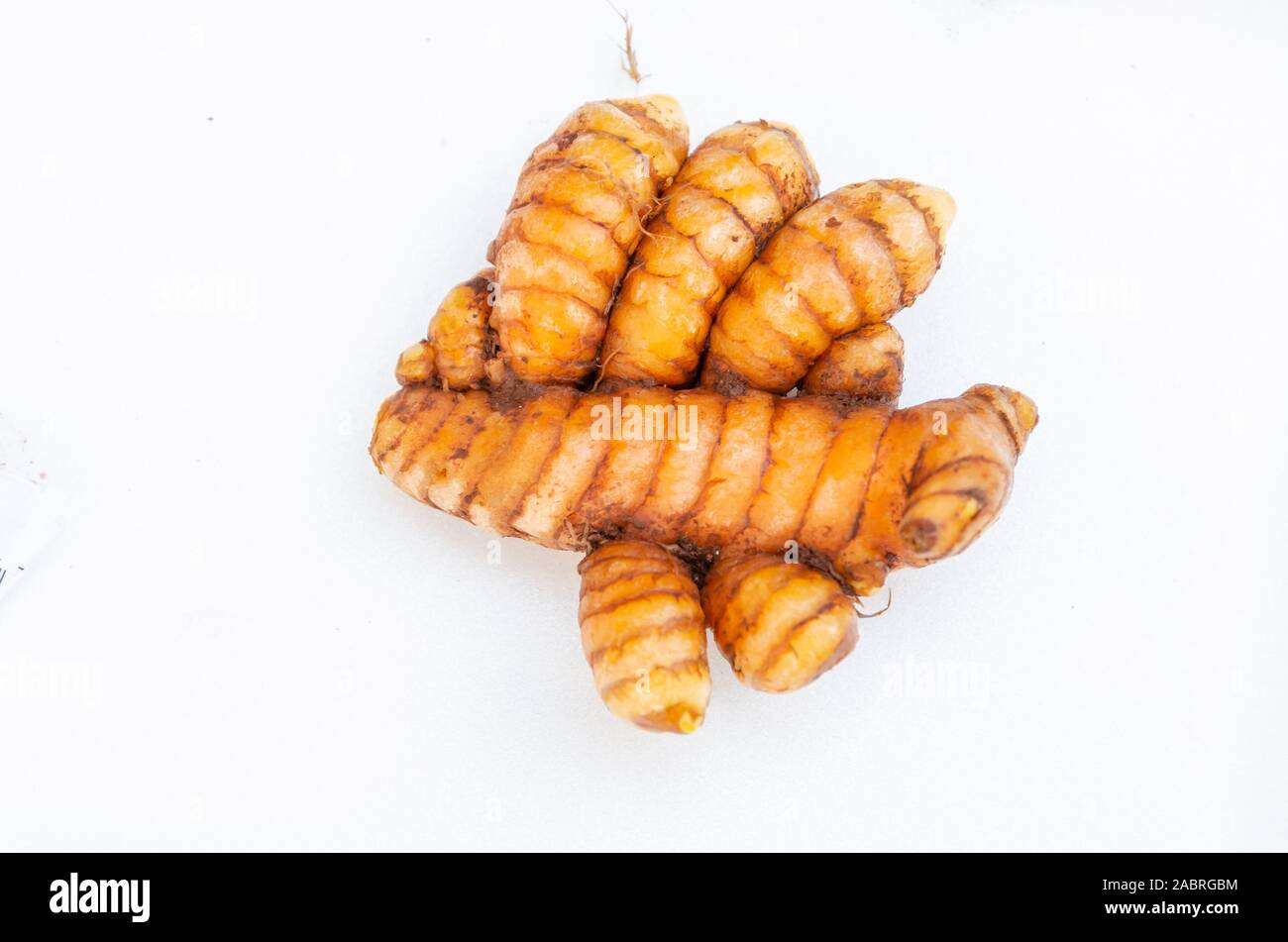 Closeup of turmeric plant hi-res stock photography and images - Alamy