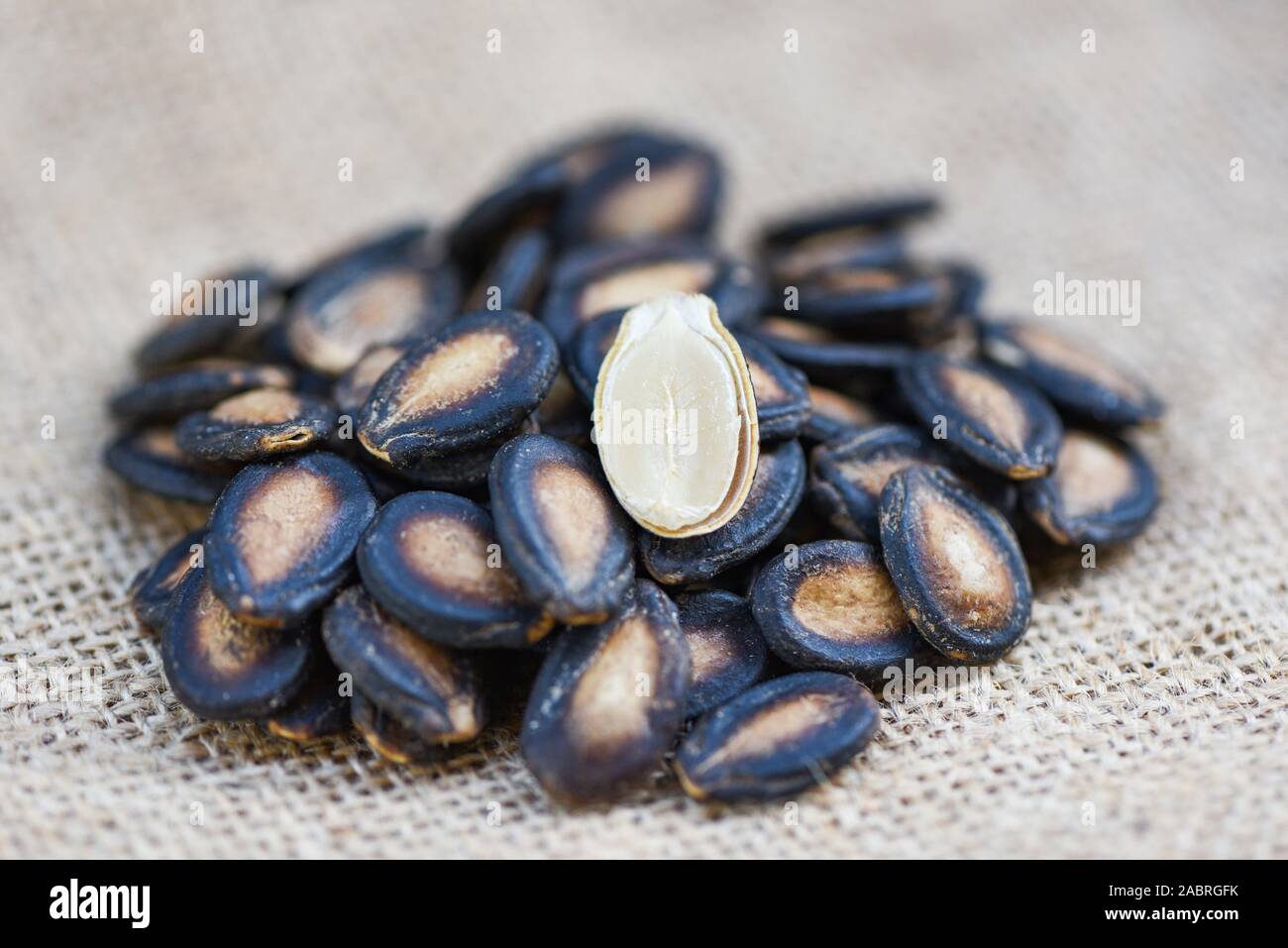 A Single Watermelon Seed