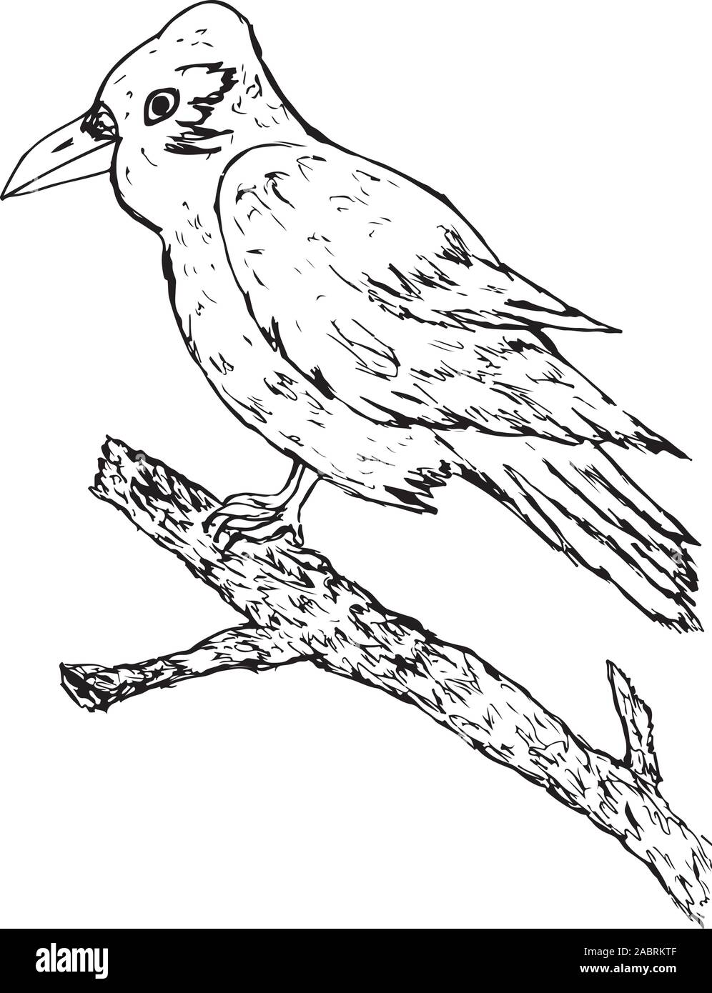 Grunge hand drawn illustration of a big crow sitting on a branch Stock ...
