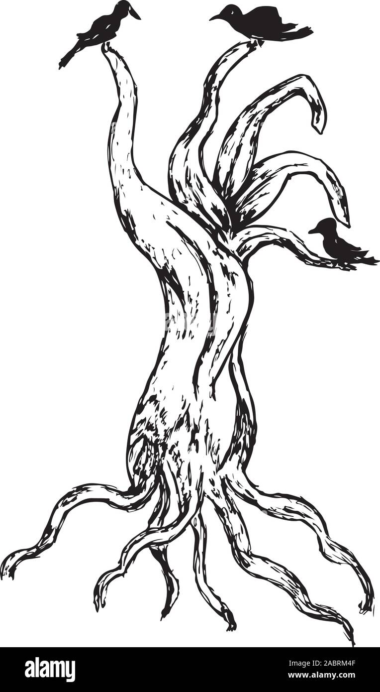 Dead Tree Roots Drawing