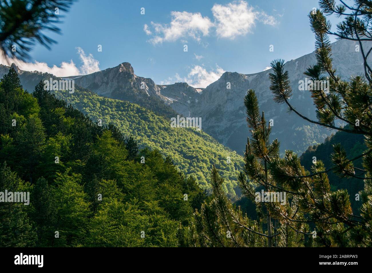 Vegetation green greece hi-res stock photography and images - Alamy