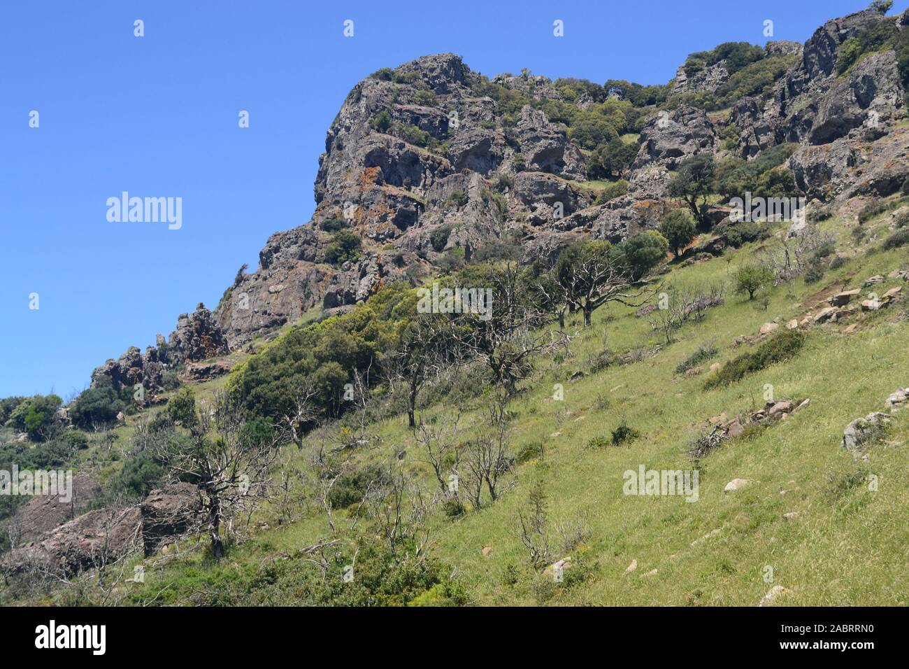 Monte arbus hi-res stock photography and images - Alamy