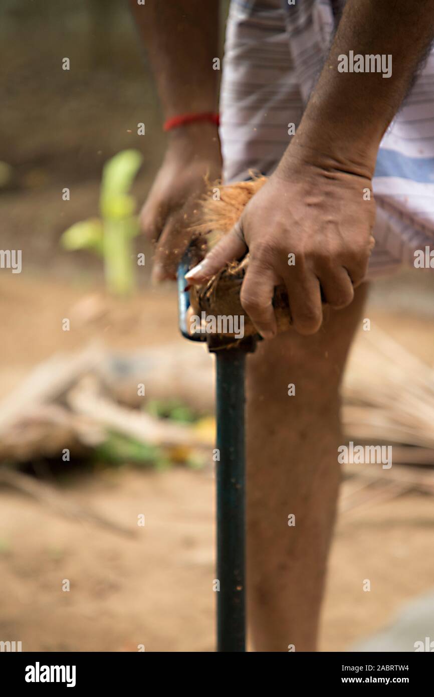 Coconut removal hi-res stock photography and images - Alamy