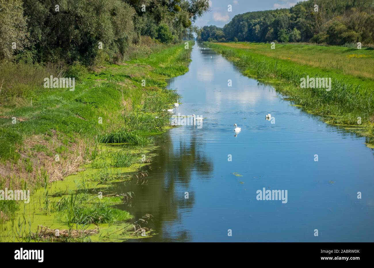 scenery at the Einserkanal near the famous Bridge at Andau at the ...