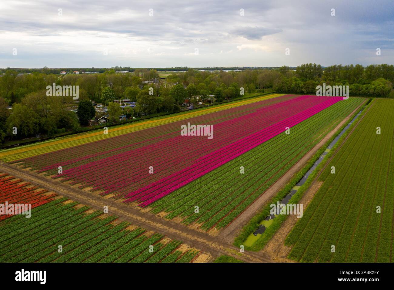 Keukenhof aerial hi-res stock photography and images - Alamy