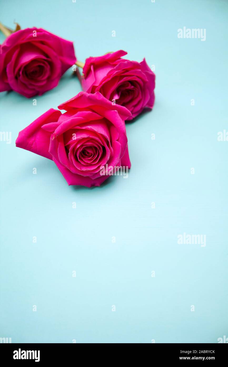 Rose heads hi-res stock photography and images - Alamy