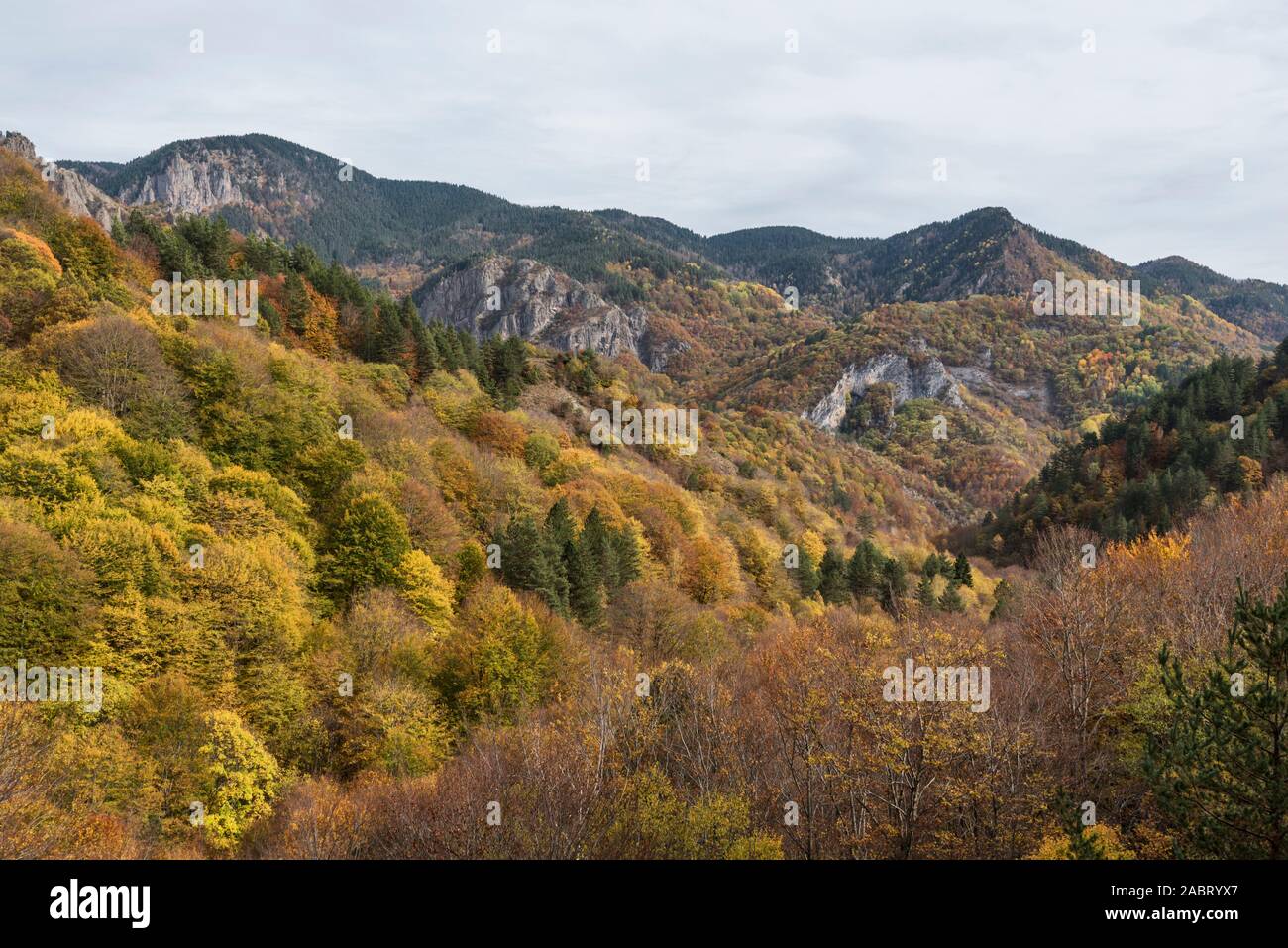 Landscape in Frakto in Rodopi mountain range national park Stock Photo ...
