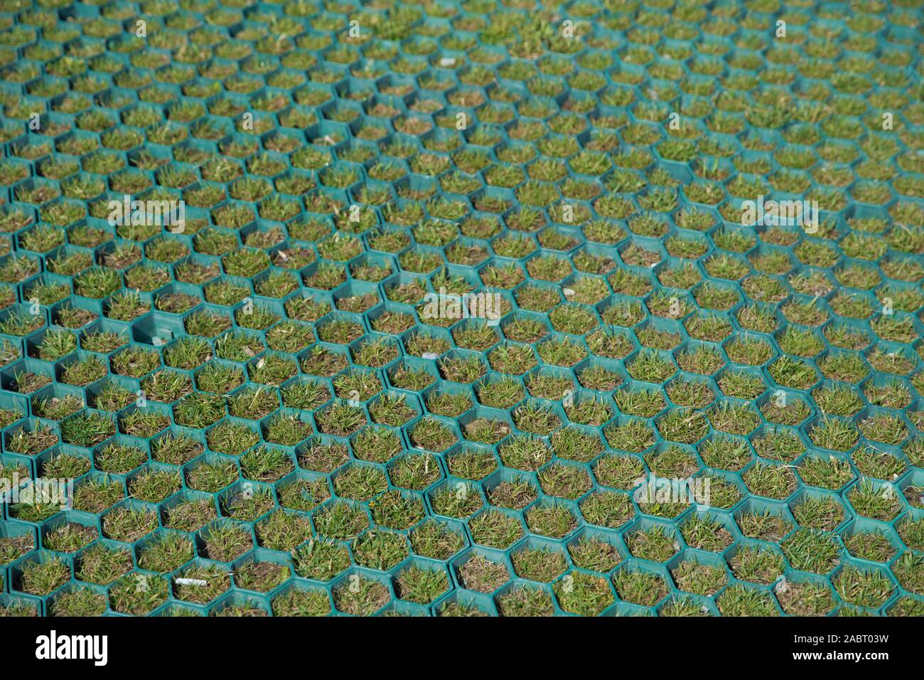 floor with honeycomb pattern background different gradient by green . A ...