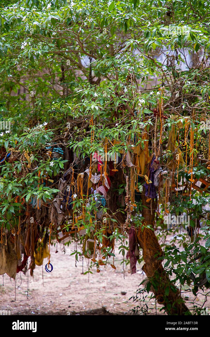 Indian tradition or worshiping tree, South Asian Temple Stock Photo - Alamy