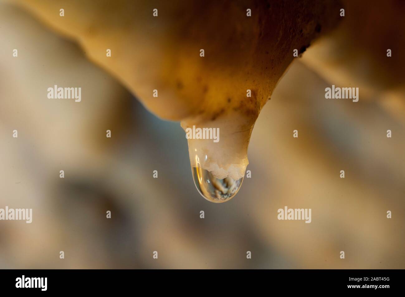 Water drop in Cerovacke caves in the Velebit mountain, Croatia Stock ...