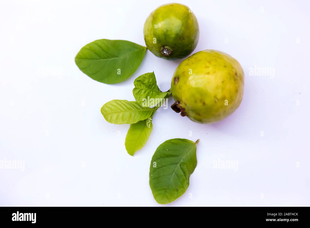 fresh red guava isolated on white background Stock Photo - Alamy