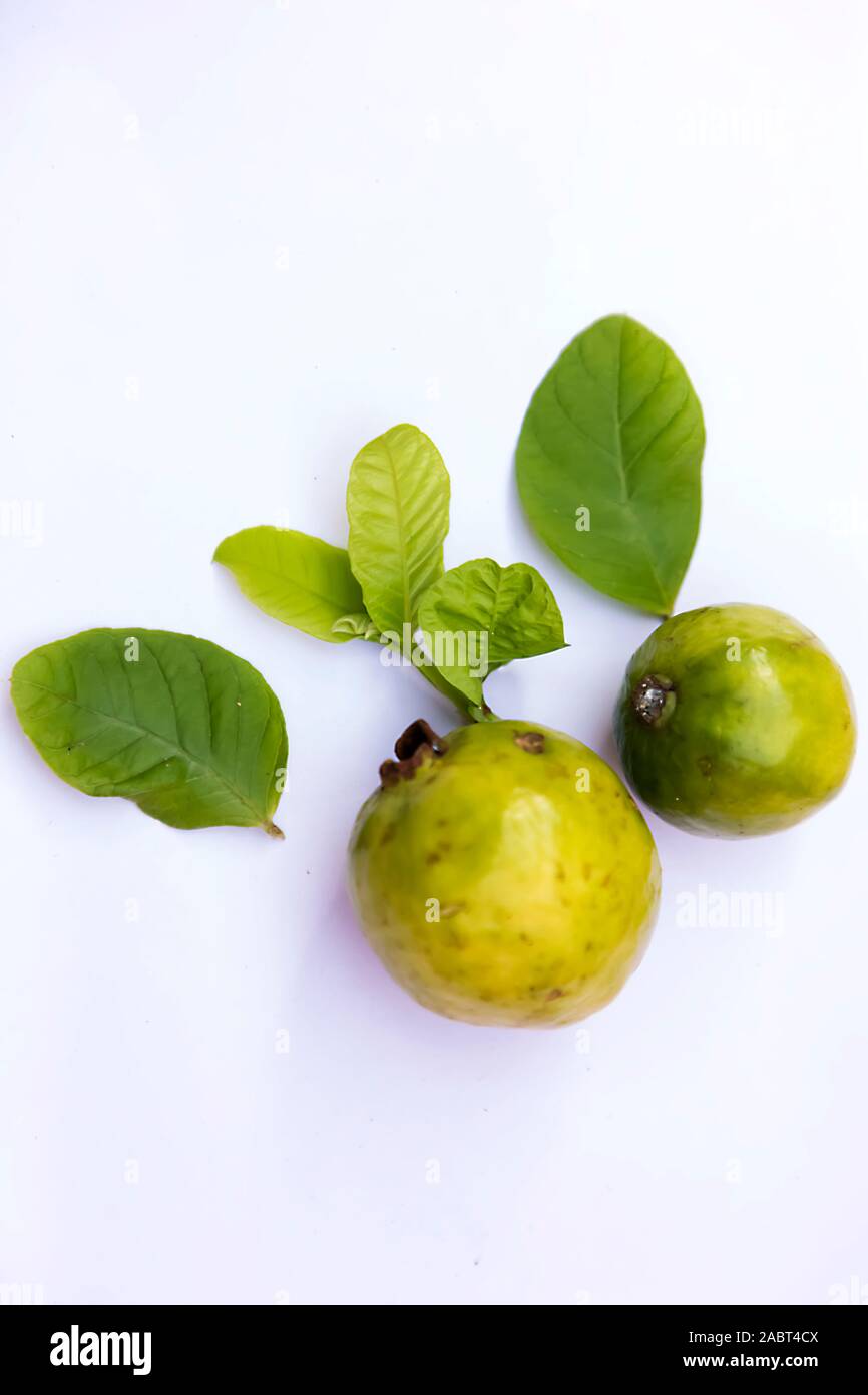 Guava tropical fruit on white background Stock Photo - Alamy
