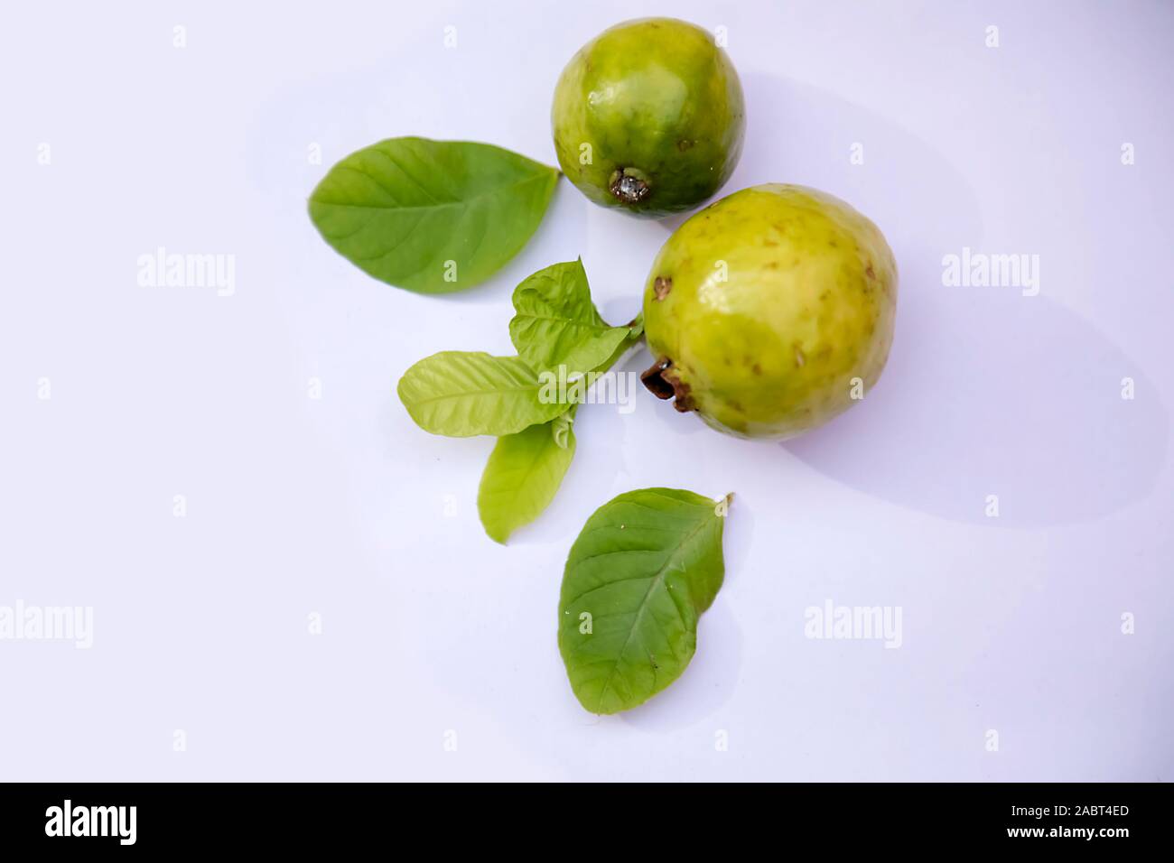 Guava fruit with leaves on the white background Stock Photo - Alamy