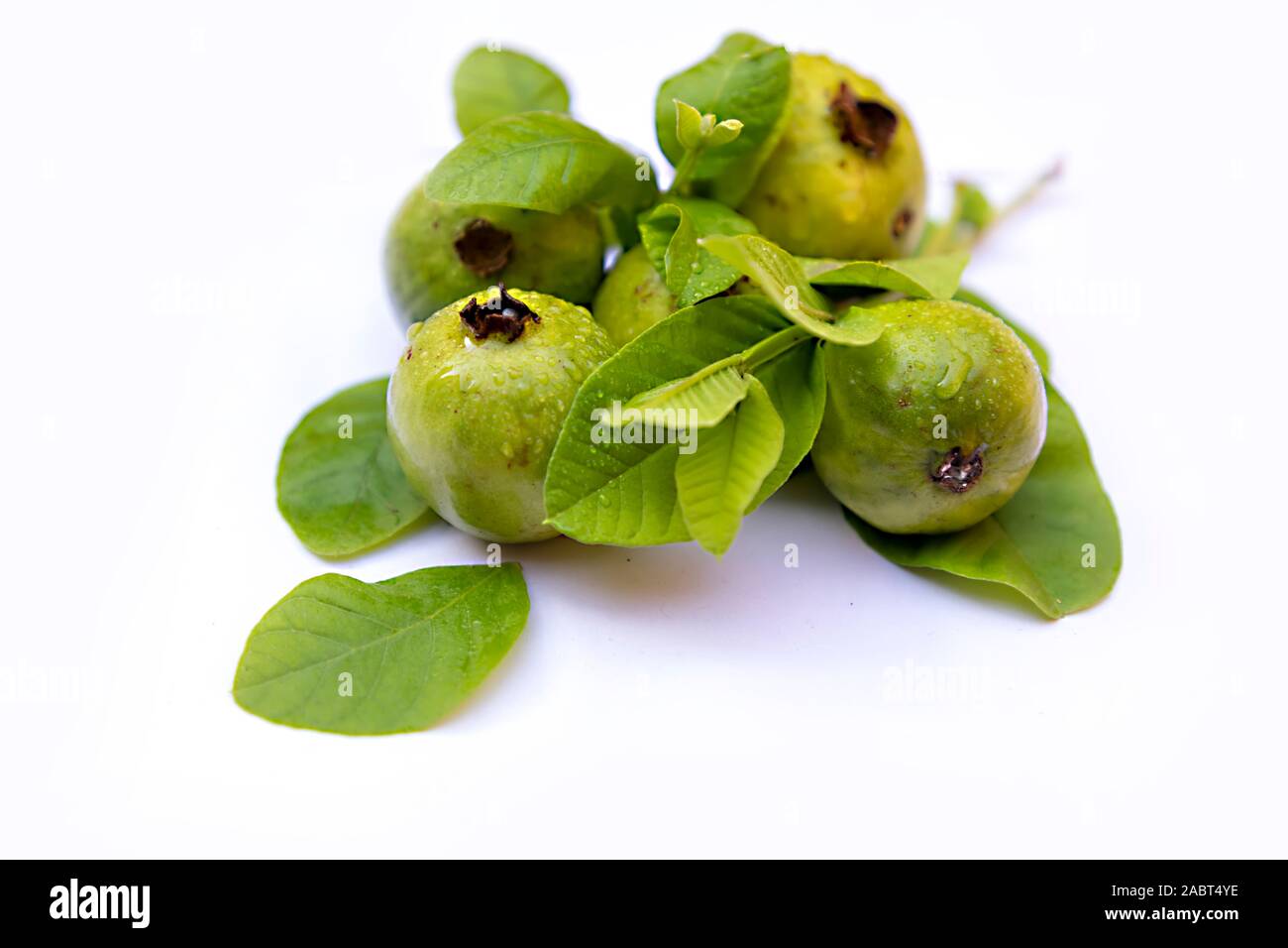 guava with branch leaves isolated on white Background Stock Photo - Alamy