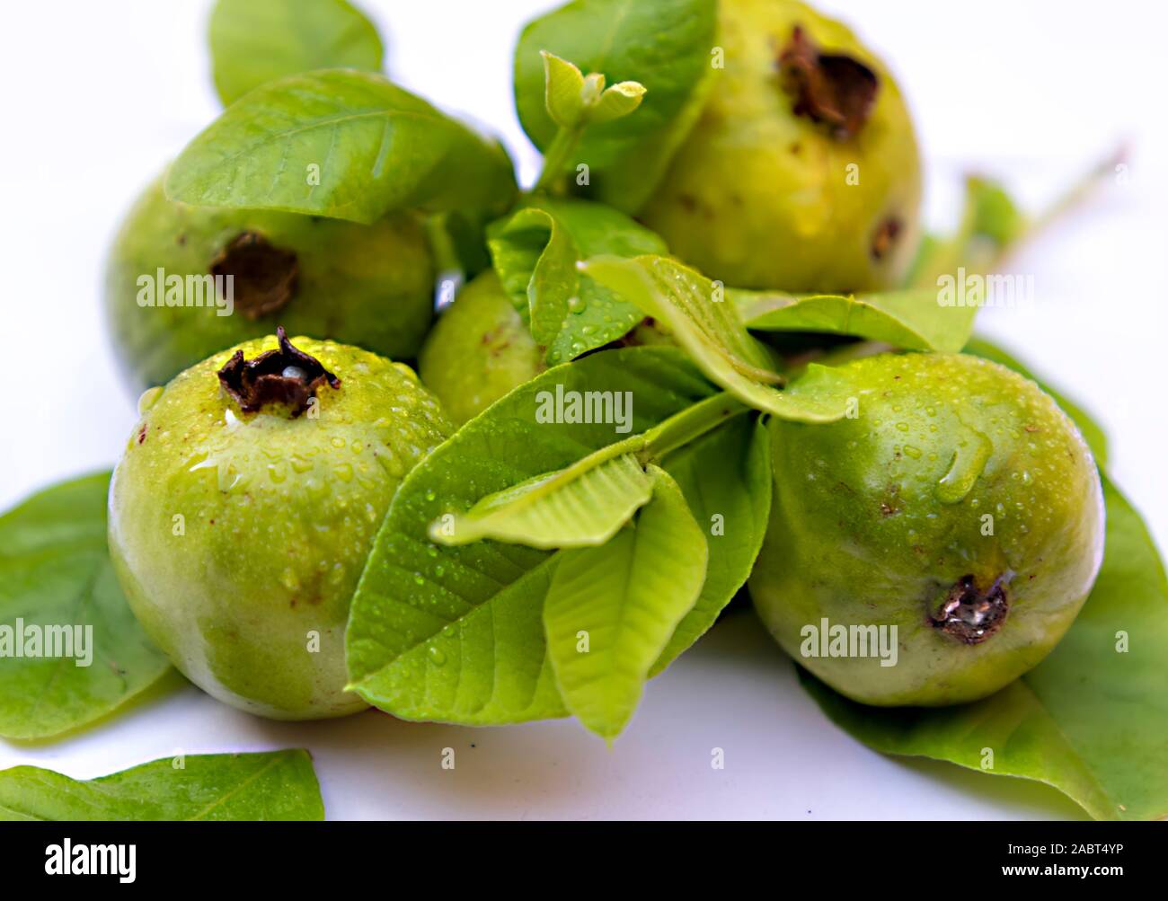 Fresh guava with leaf isolated on white background Stock Photo - Alamy
