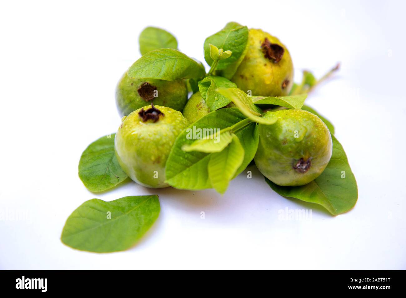 guava with leaf isolated on white background Stock Photo - Alamy