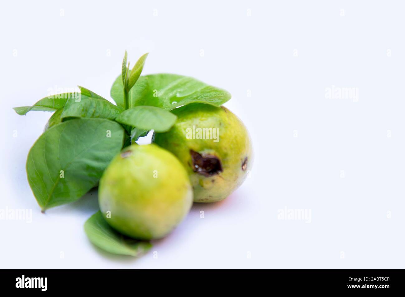 guava with leaf isolated on white background Stock Photo - Alamy