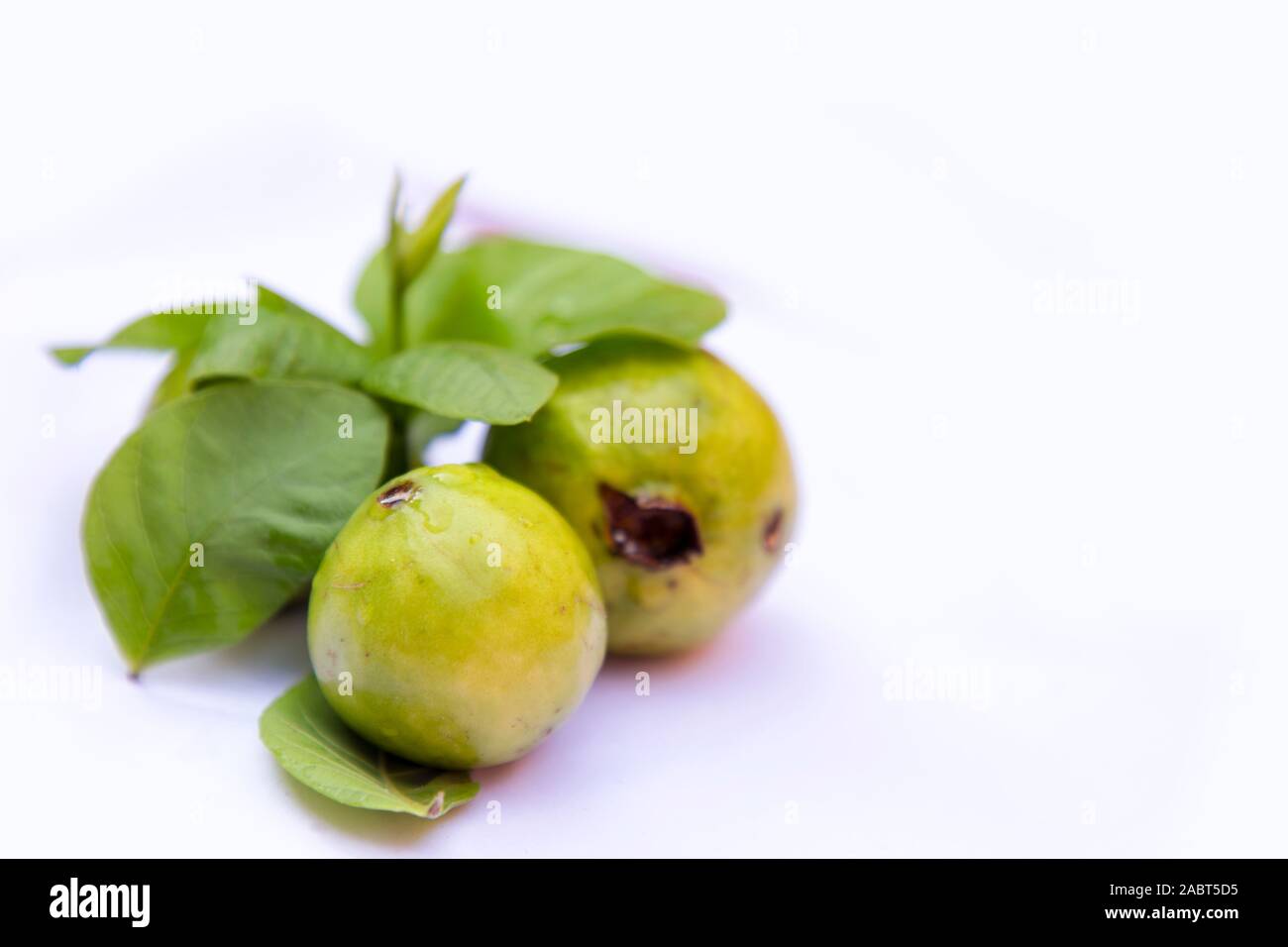 guava with leaf isolated on white background Stock Photo - Alamy