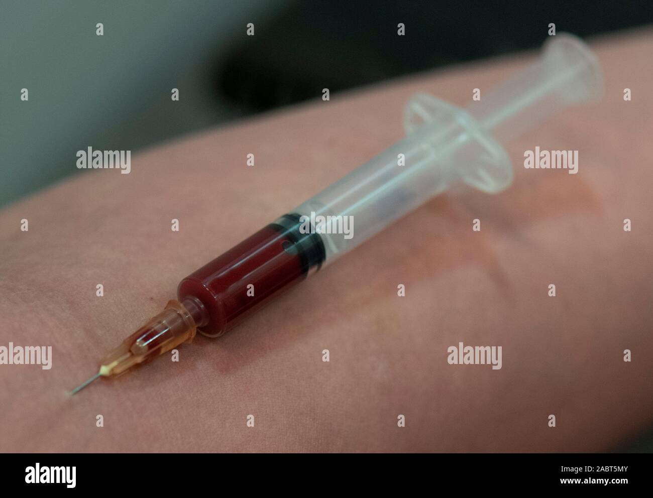 19 November 2019, Hessen, Frankfurt/Main: After a long search in her ...