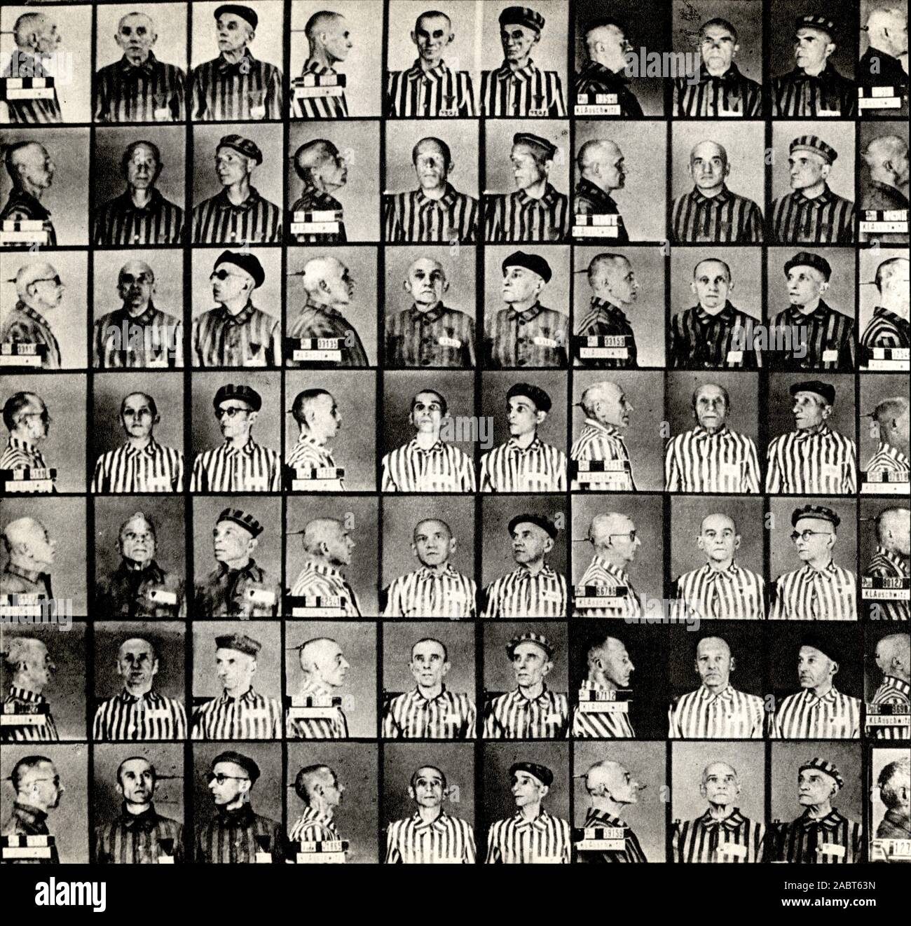 Photographs of the victims of genocide in Auschwitz-Birkenau Stock ...