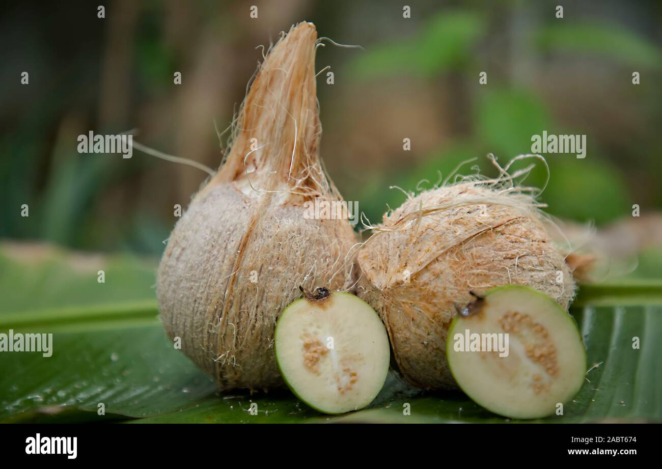 coconuts, slice guava with green banana leaf on nature background Stock ...