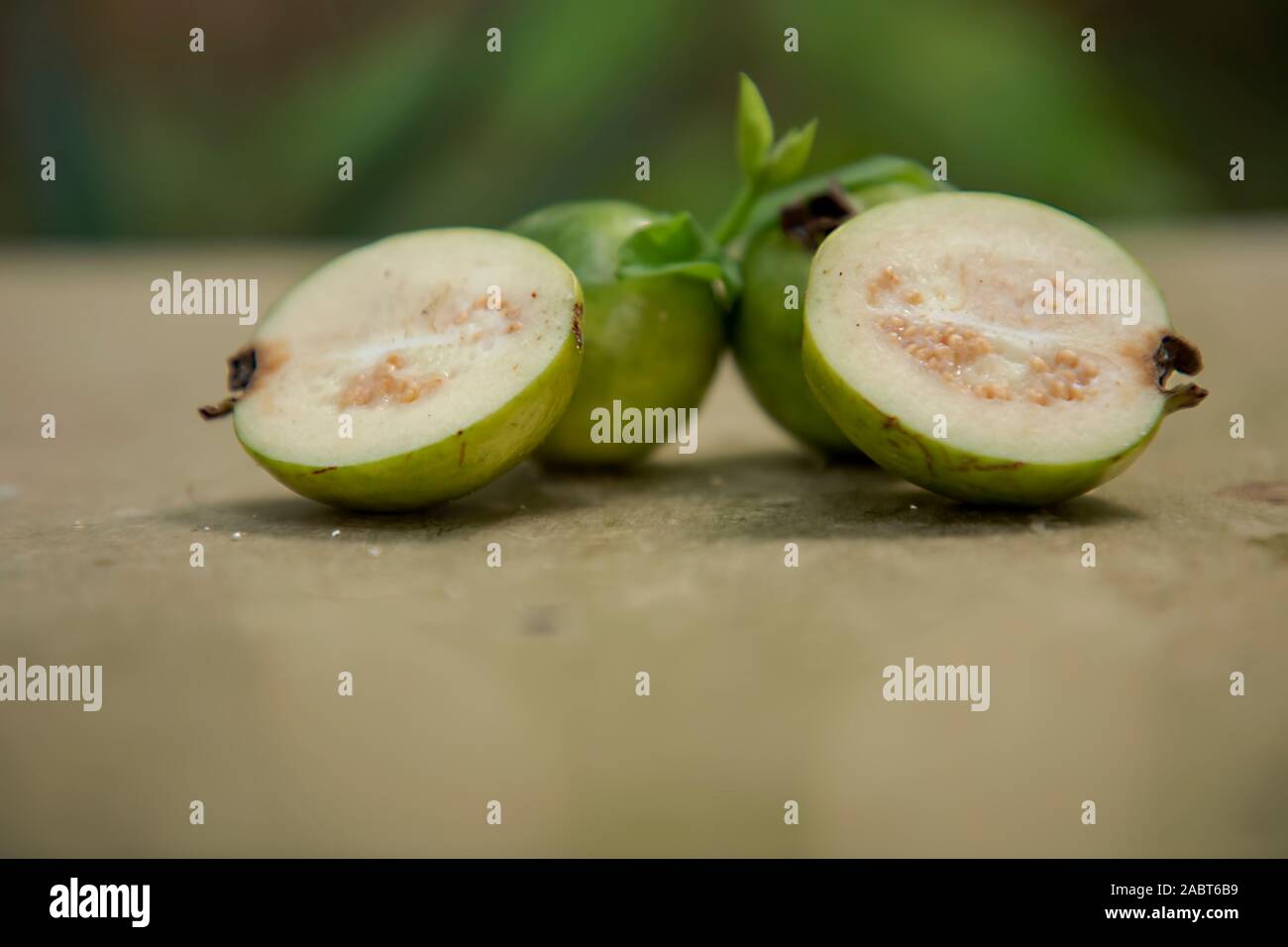 guava fruit and slice on nature background. guava fruit top view nature ...